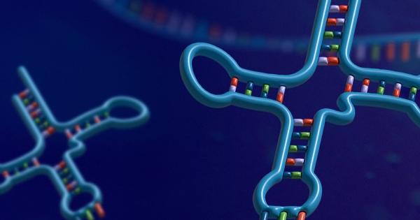 The Hopper Lab's study is first to show some tRNA introns affect gene ...